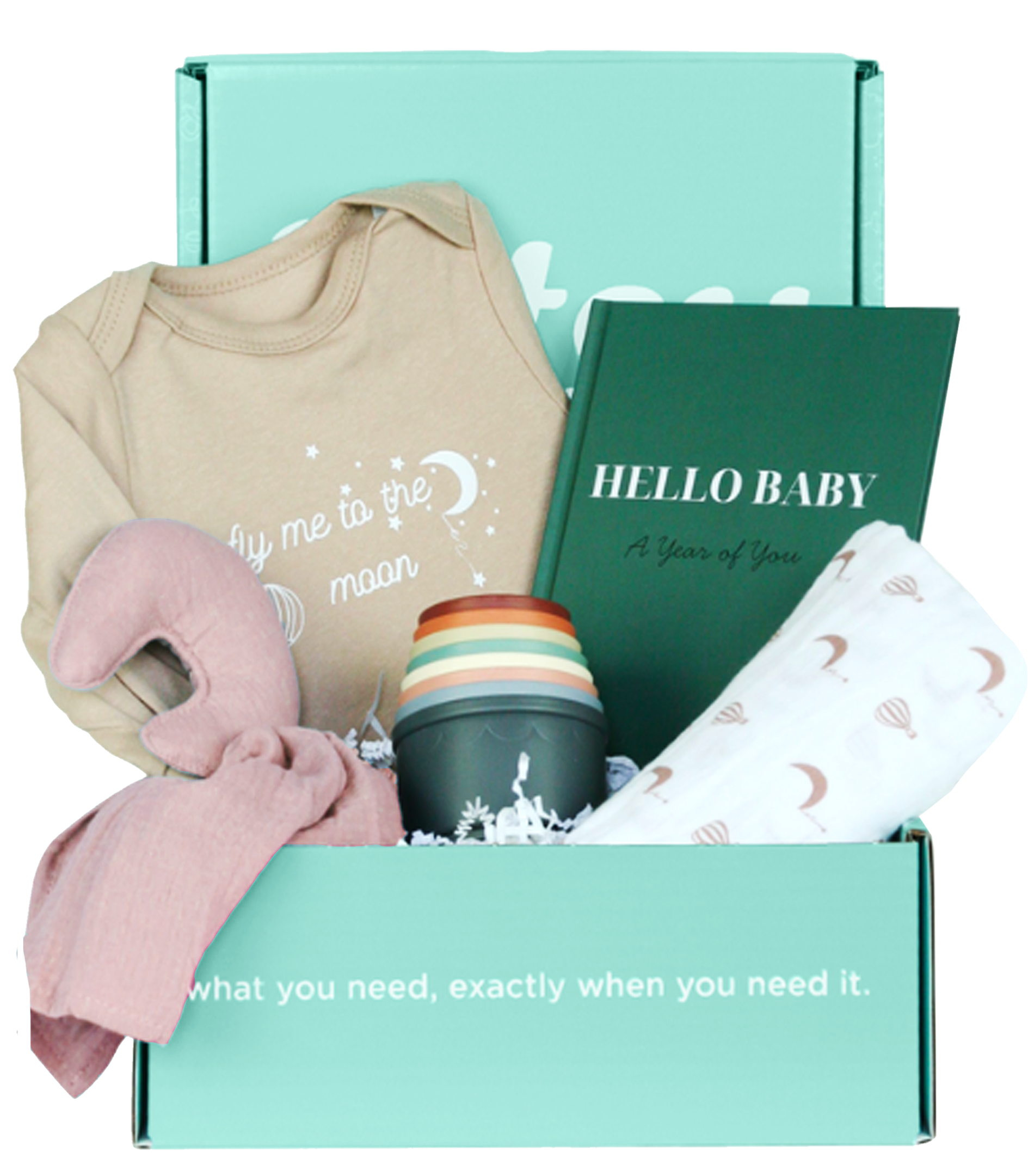 Bitsy Boxes Newborn Gift Box - Girl | Bump Boxes