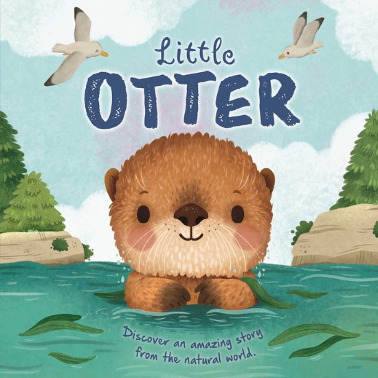 Igloo Books Little Otter | Bitsy Boxes